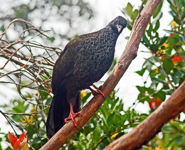 Photo Essay: The Andes of Ecuador - Luxury Web