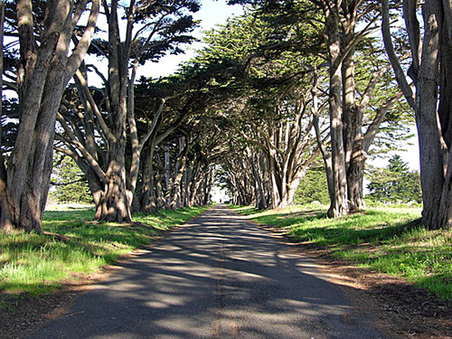 The Natural Beauty of the Point Reyes National Seashore - Luxury Web