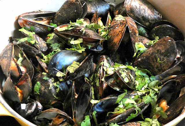 Recipe: Mussels Mediterraneo - Luxury Web