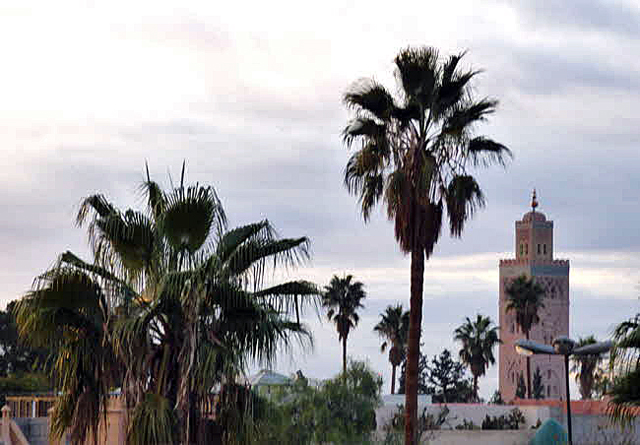 In the Medina of Marrakech - Luxury Web